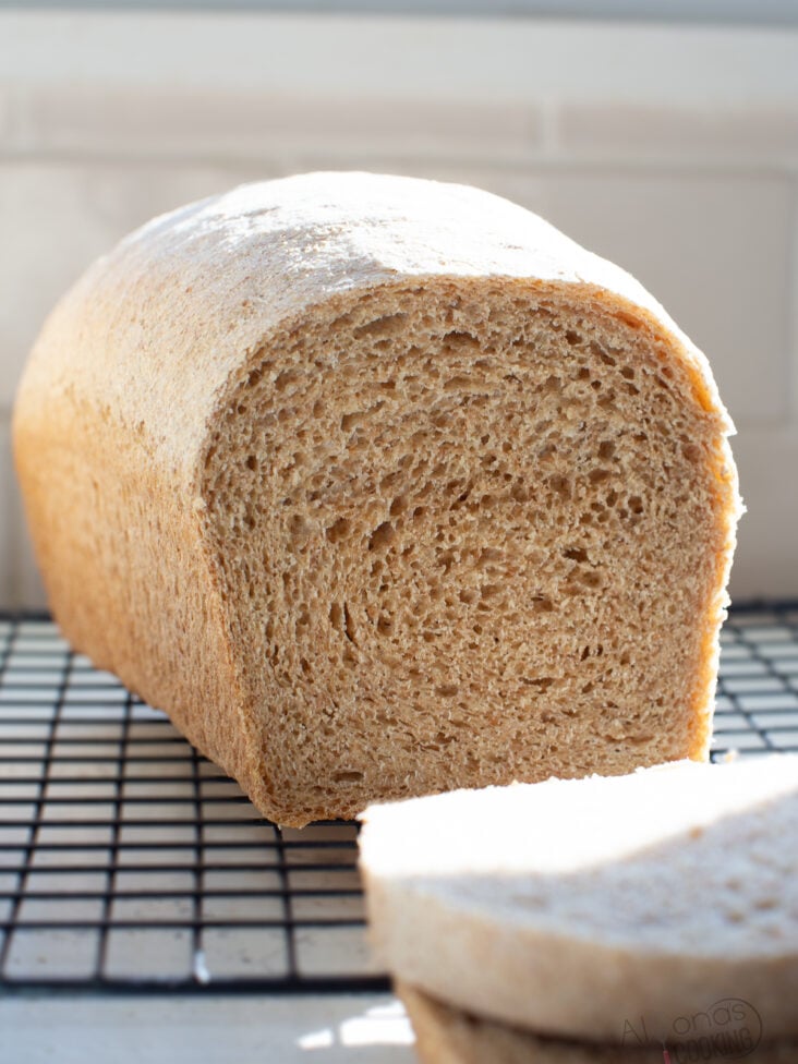 Whole Wheat Sourdough Bagels with Freshly Milled Flour (with Freshly Milled Flour) - Alyona’s ...