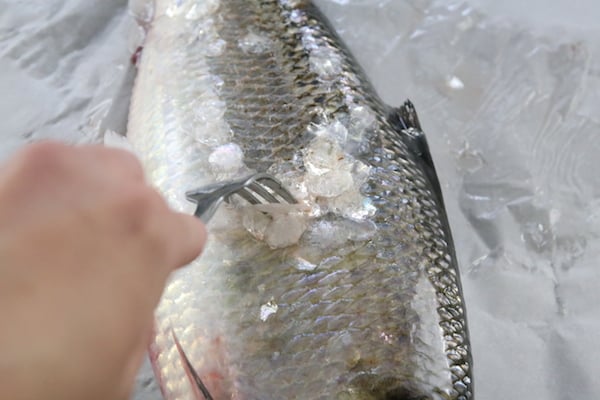Selyodka Recipe (European Pickled Fish)