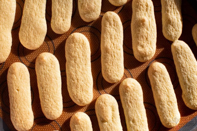 EASY Ladyfingers Recipe - Alyona’s Cooking