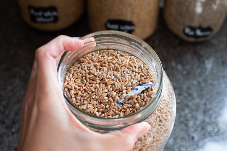How To Make Whole Wheat Flour From Wheat Berries - Alyona’s Cooking