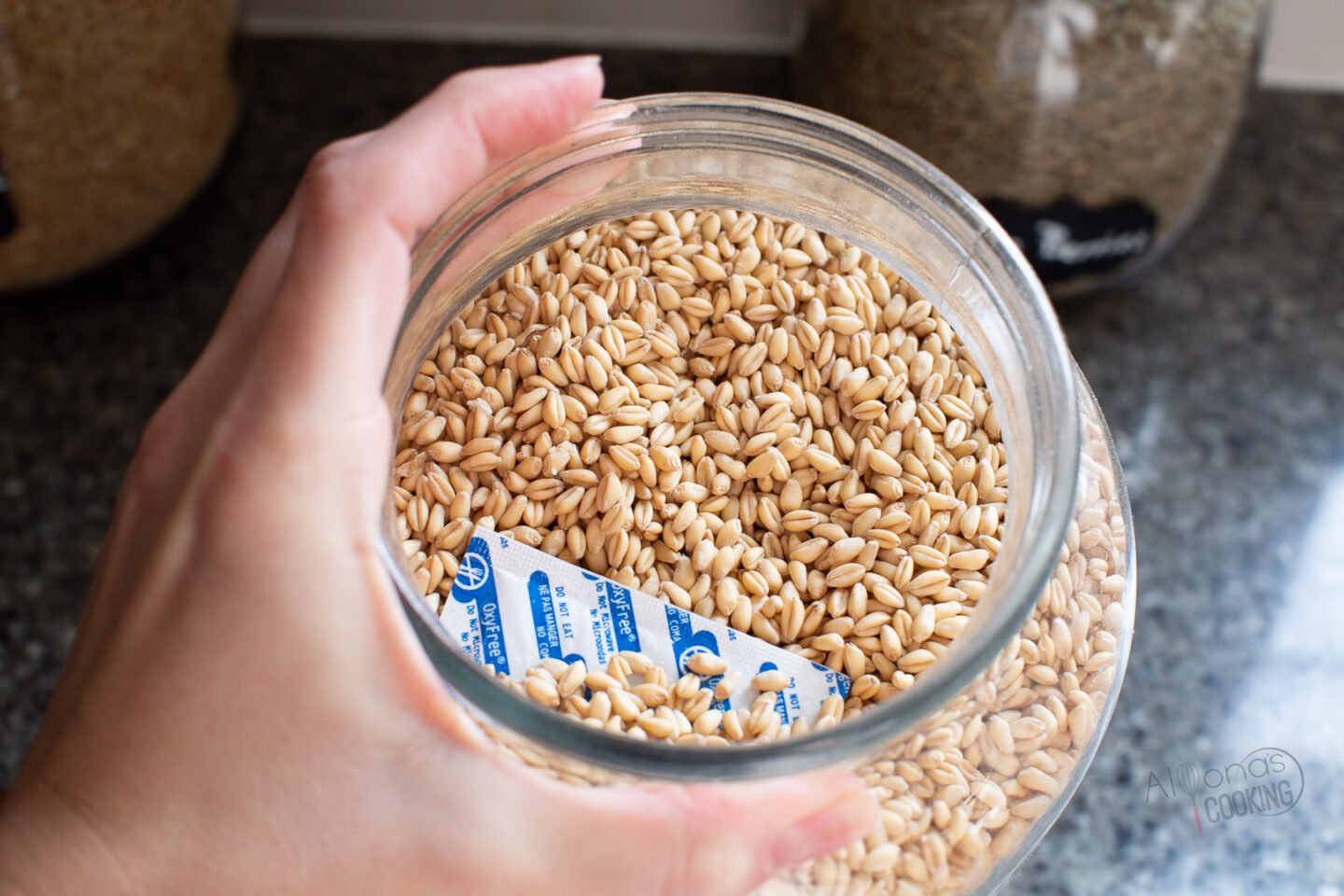 How To Make Whole Wheat Flour From Wheat Berries - Alyona’s Cooking