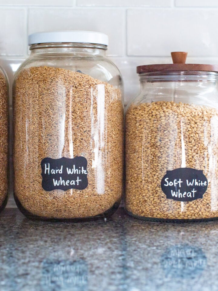 Creamy Semolina Porridge (Mannaya Kasha) - Alyona’s Cooking