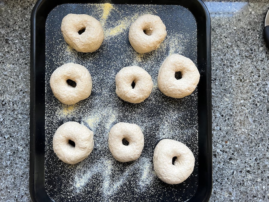 Whole Wheat Sourdough Bagels with Freshly Milled Flour (with Freshly ...