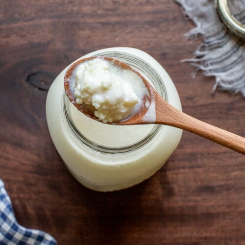 How To Make Milk Kefir (with a Step-by-Step Tutorial) - Alyona’s Cooking