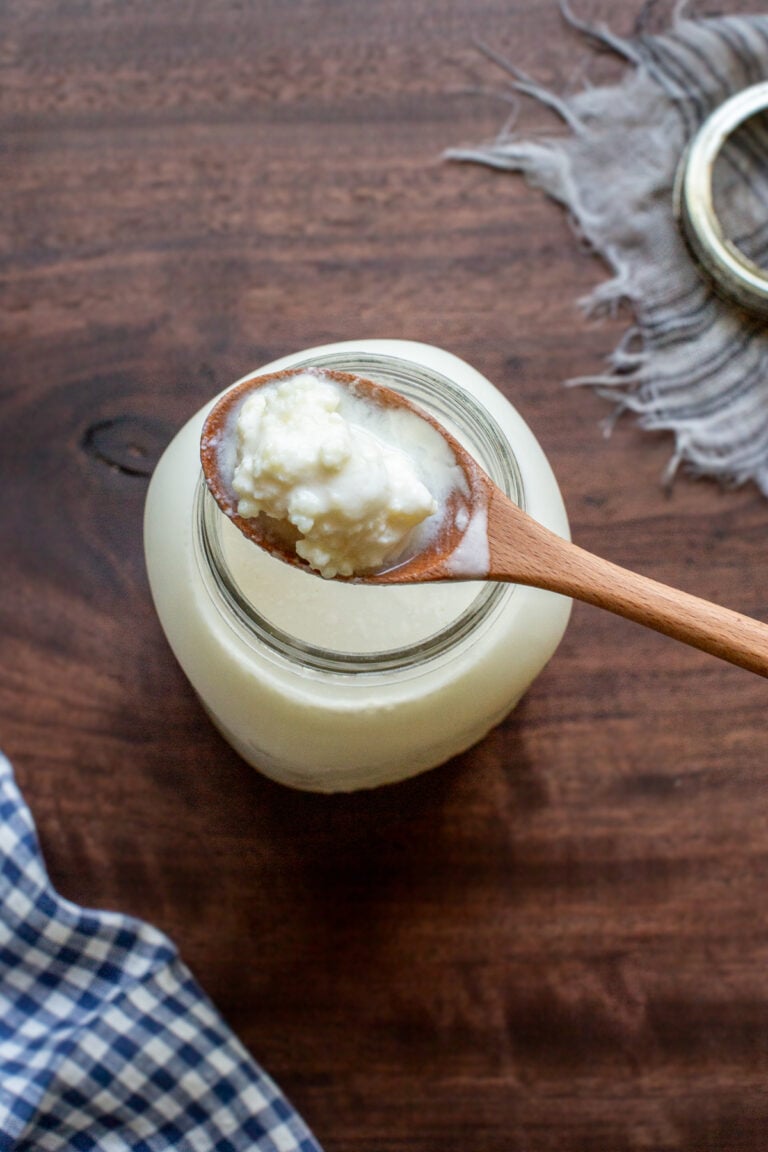 How To Make Milk Kefir (with a Step-by-Step Tutorial) - Alyona’s Cooking