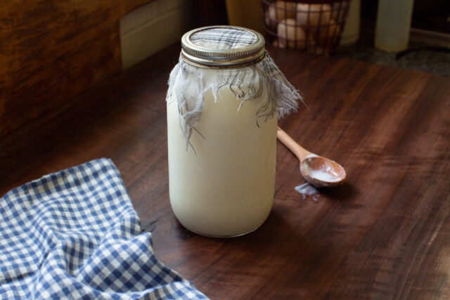 How To Make Milk Kefir (with a Step-by-Step Tutorial) - Alyona’s Cooking