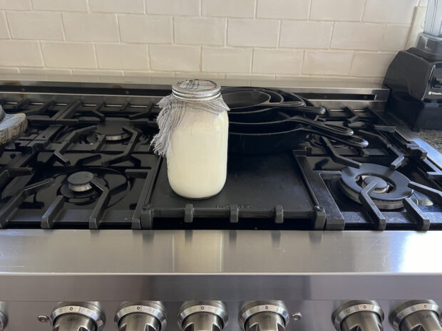How To Make Milk Kefir (with a Step-by-Step Tutorial) - Alyona’s Cooking