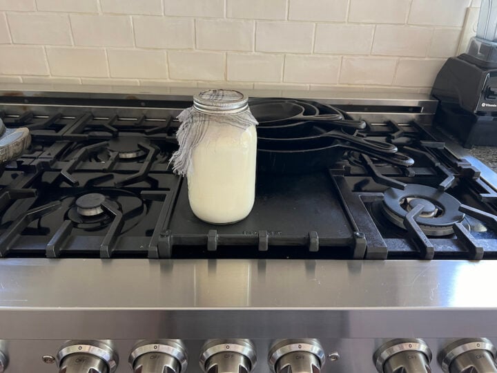 How To Make Milk Kefir (with a Step-by-Step Tutorial) - Alyona’s Cooking