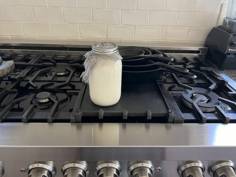 How To Make Milk Kefir (with a Step-by-Step Tutorial) - Alyona’s Cooking