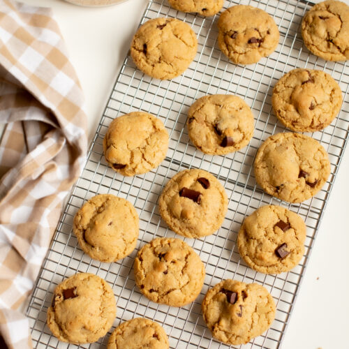 Coconut Chocolate Chip Cookies with Freshly Milled Flour - Alyona’s Cooking