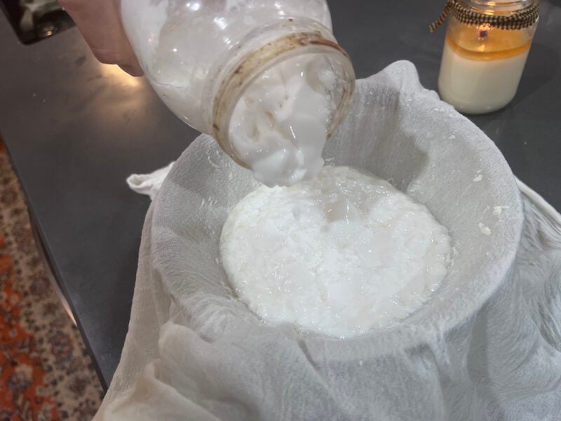 Kefir Cream Cheese (No-Cook Cream Cheese Recipe) - Alyona’s Cooking
