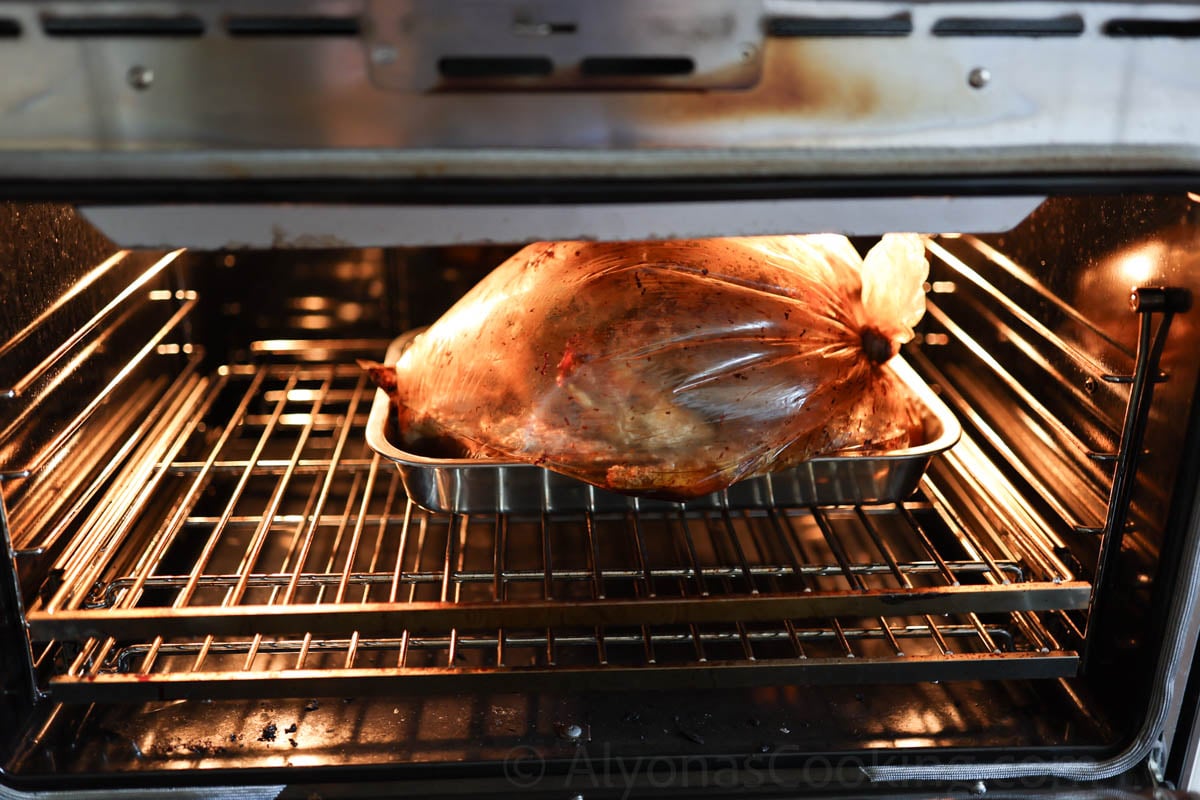 Juicy and Tender Thanksgiving Turkey Recipe - Alyona’s Cooking